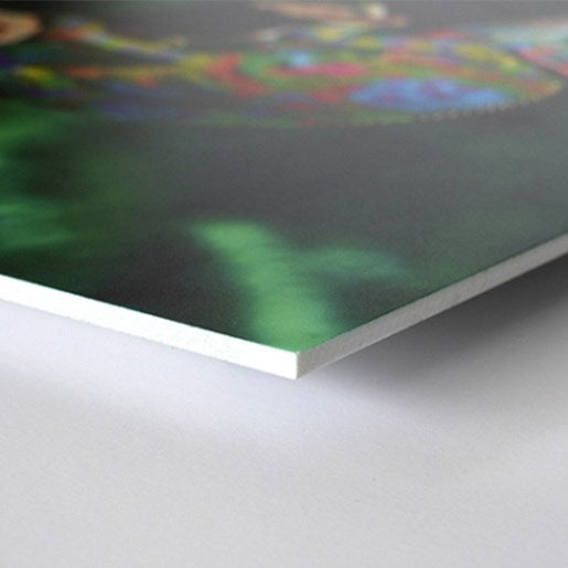 Forex Print - Rolls Liner Supplies